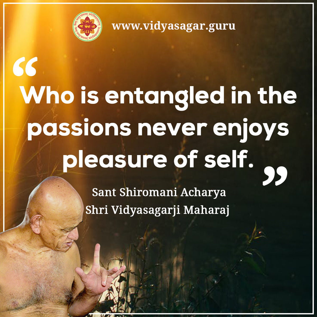Acharya Vidyasagar Quotations (156).jpg - आचार्यश्री विद्यासागर जी की ...
