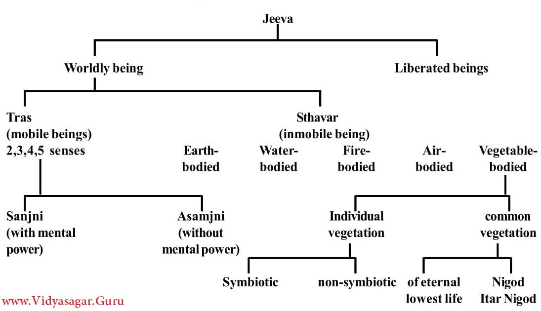 Chapter-42 - Jeeva (living beings) - Dravyanuyoga - मेरे गुरुवर ...